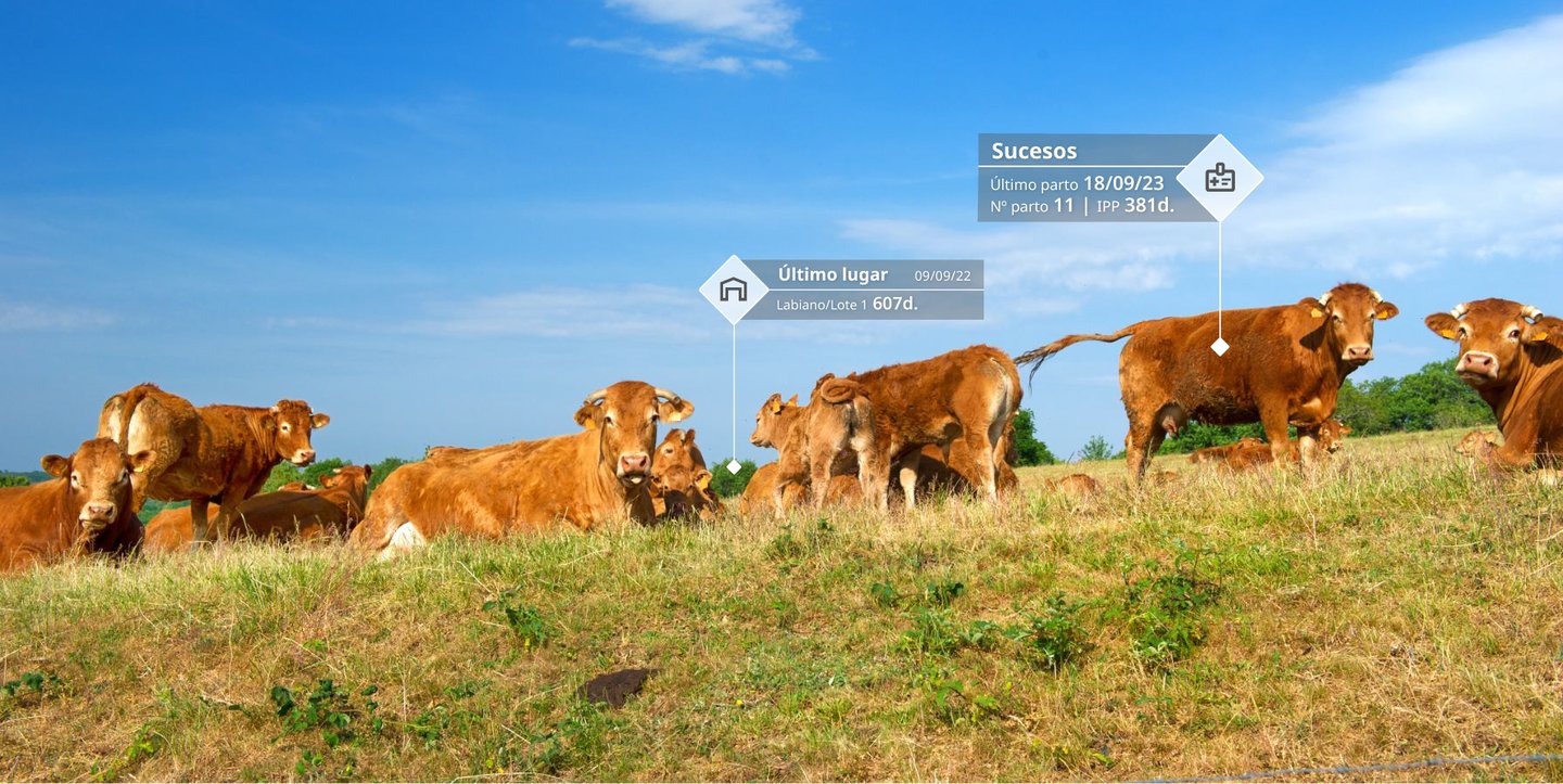 Isagri - Digitalización Agricultura, Ganadería y Bodegas