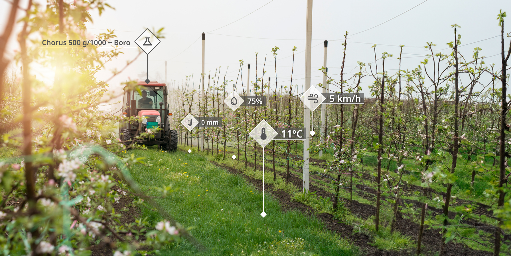 Isagri - Digitalización Agricultura, Ganadería y Bodegas