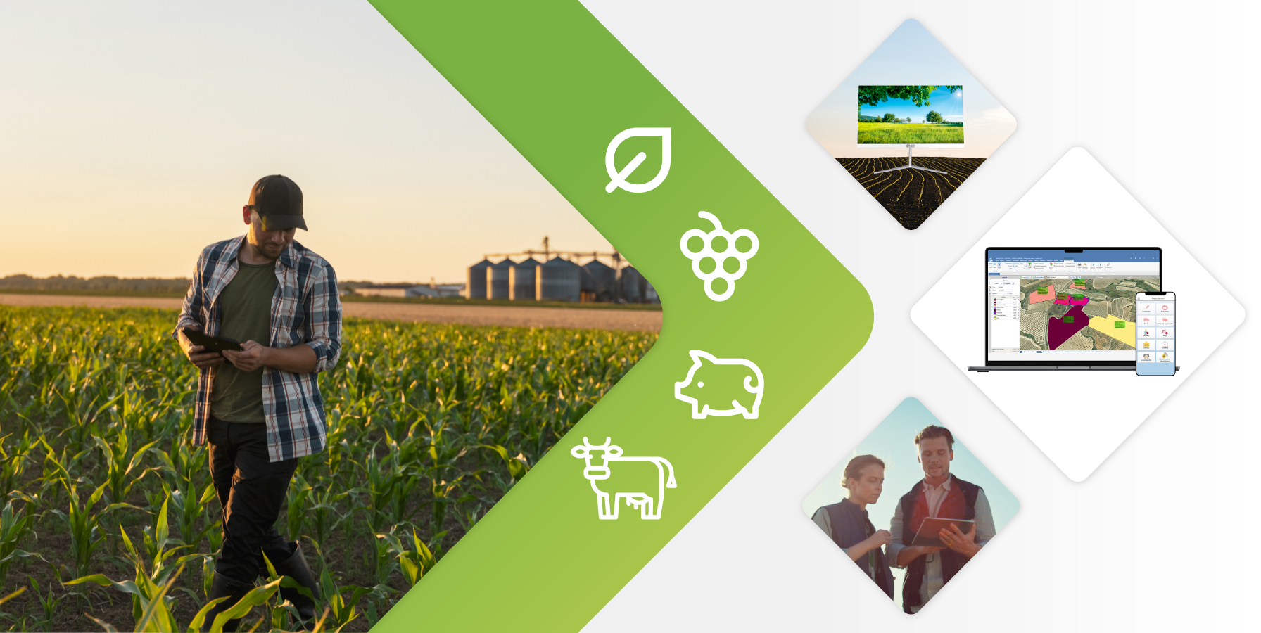 Isagri - Digitalización Agricultura, Ganadería y Bodegas